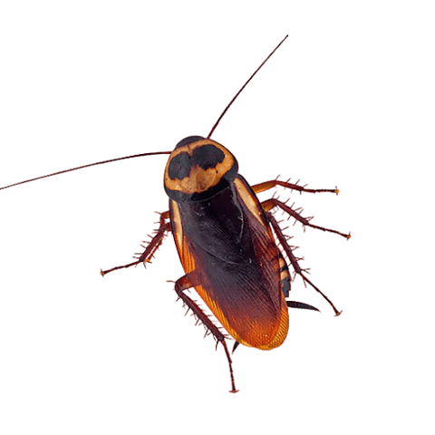 NKR Products – Distribución y venta de productos y equipos ...